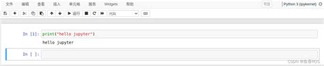【ros2机器人入门到实战】miniconda与jupyter介绍安装ros2的jupyter 关联 Csdn博客