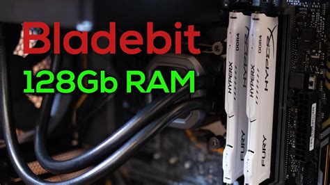 Делаем bladebit плоты на 128 gb ram youtube