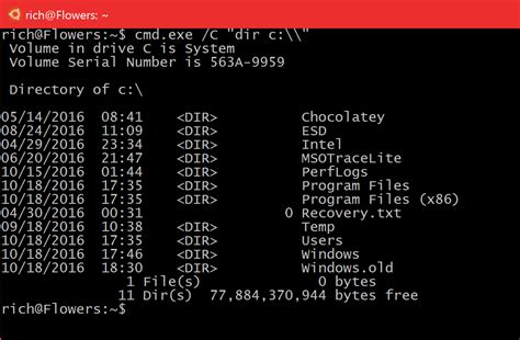 Interop Between Windows And Bash Windows Command Line