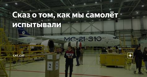 Сказ о том как мы самолёт испытывали Cat Cat Дзен