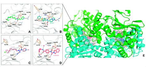 Interaction Of Nampt With Inhibitory Compounds A Interaction Of Download Scientific Diagram