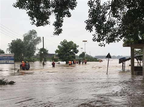 Ndrrma E Learning Platform Course Categories