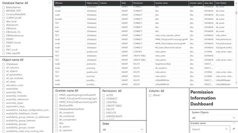 A SQL Server Permission Report In PowerBI T SQL Tech