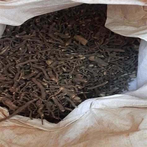 Hemidesmus Indicus Root Black Packaging Type Bag At Rs 2900 Kg In Dehradun