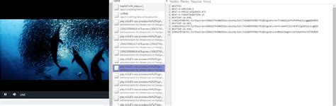 Why Some M3u8 Can Play And Some Cant Whats The Different · Issue
