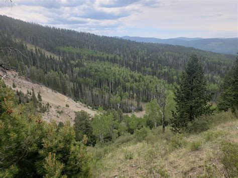 Angel Fire Hike Hiking Trail Angel Fire New Mexico