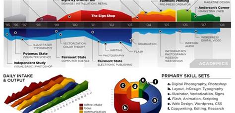 Professional Resume Or Data Visualization Fail Poll