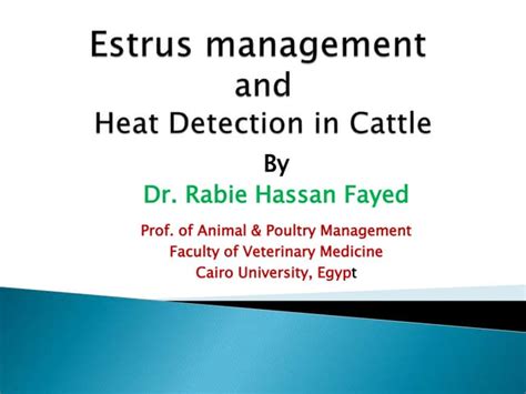Lecture 2 Estrus Detection In Cattle Pptx