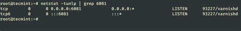 How To Install Varnish And Test Web Server Benchmarking