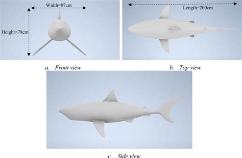 The 3d Cad Oceanic Whitetip Shark Model Used For Cfd Simulation