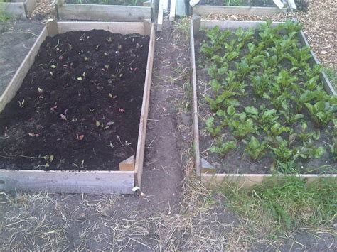 Plot 30 Rampant Sex At The Allotment