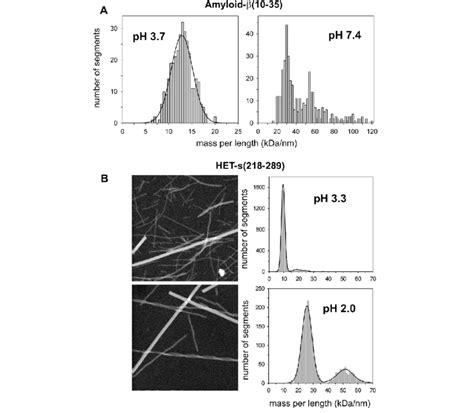 Fibril Mass Per Length Distributions Depend On The Solution Conditions