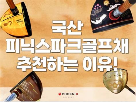 국산 피닉스 파크골프채 추천 이유 네이버 블로그