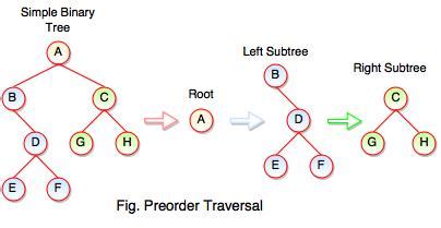 Unit 4 Trees B C A Study