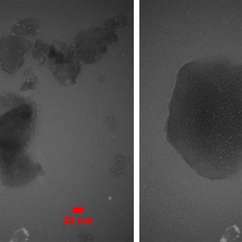 Ft Ir Spectra Of Polycaprolactone Pcl Memantine Mem And