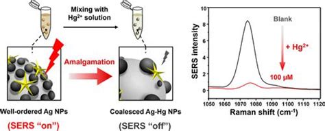 Mercury Ion Responsive Coalescence Of Silver Nanoparticles On A Silica Nanoparticle Core For