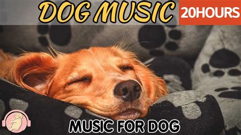 강아지가 좋아하는 음악💖🎵강아지 수면 음악 20시간🐕💖강아지 분리불안 해소 음악🎵💖집에 혼자있는 강아지의 스트레스 해소🐶💖출근할