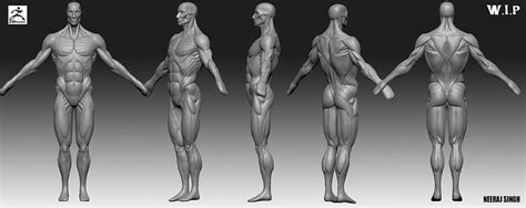 Maac Animation Delhi 3d Animation Vfx Graphic Courses