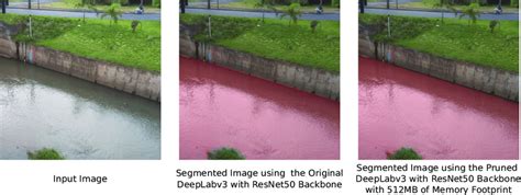 Semantic Segmentation Results Of The Pruned Deeplabv3 With Resnet50 Download Scientific Diagram
