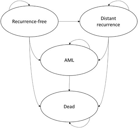 Markov Model Diagram Representing The Four Health States Download