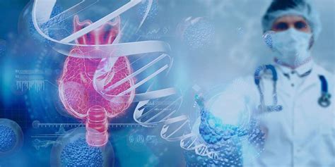 Restoring Thyroid Function With Stem Cell Therapy Stem Cell Medical