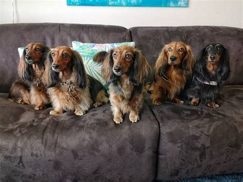 Lu Decomposition Method Calculator Math Preparation