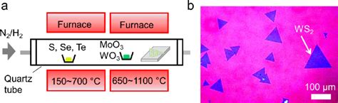 Color Online A Schematic Illustration Of CVD Setup For TMDC Download Scientific Diagram