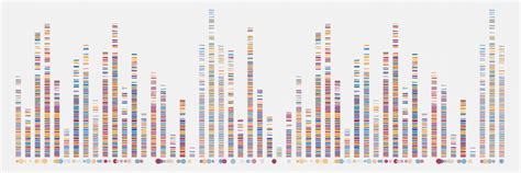 What Is Bioinformatics Genomics Education Programme