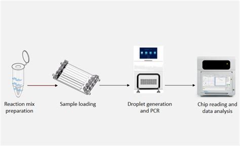 What Is Digital Pcr Dpcr And How It Works Rainsure