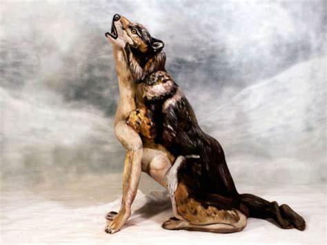 தவள ஓநய மன பசசநத நரவண உடமபல வரநத ஓவயர வரல வடய naked women