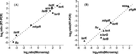 Correlation Between Microarray And Real Time Rt Pcr Results The Download Scientific Diagram