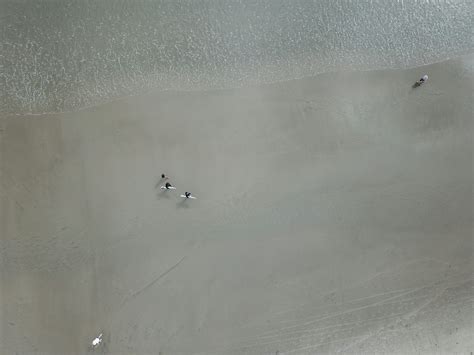 Maili Holt Of Leak Pictures Download Free Images On Unsplash