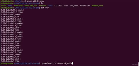 pwn选手配置ubuntu环境 glibv all in one换源 csdn博客