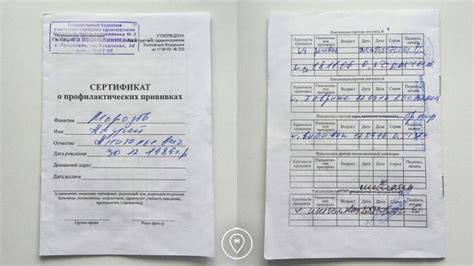 Образец заполнения желтой карты в детский сад