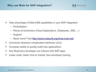 Sap Integration Best Practices Mulesoft Pdf
