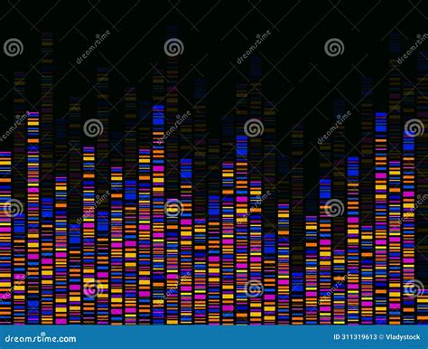 Dna Test Infographic Dna Test Barcoding Genome Map Vector
