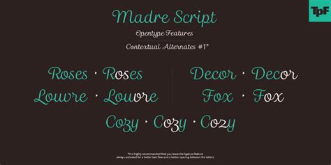 Madre Script Font Fontspring