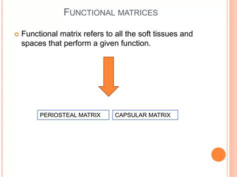 Functional Matrix Theory Pptx