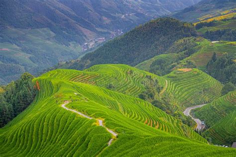 The Longji Rice Terrace Viewed From The Viewpoint 2 Thousand Layers To