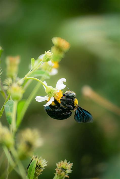 Pivotanimatorbackgrounds Photos Download The Best Free Pivotanimatorbackgrounds Stock