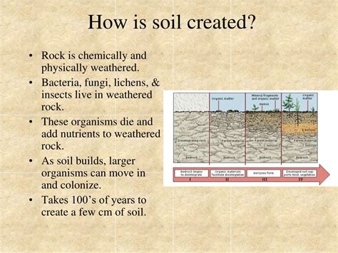 PPT SOIL PowerPoint Presentation Free Download ID 1951676