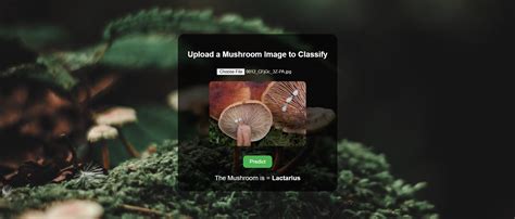 Github Prajwalnikam Ai Mushroom Classification Analysis