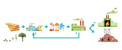 Biogenic Carbon A Deception Or Real Contribution To Circularity Esci Upf News