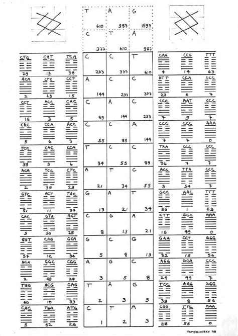 The I Ching Binary System And Natural Phenomena By Stanley Tomshinsky