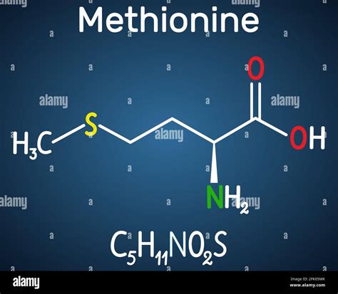 Methionine Lewis Structure