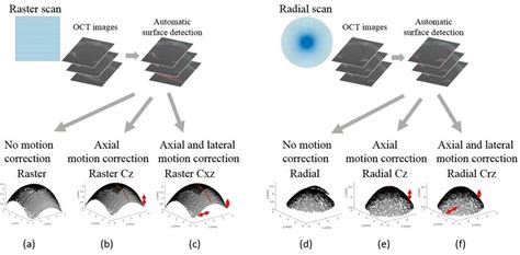 Shows A Schematic Representation Of The Patterns And The Algorithms For