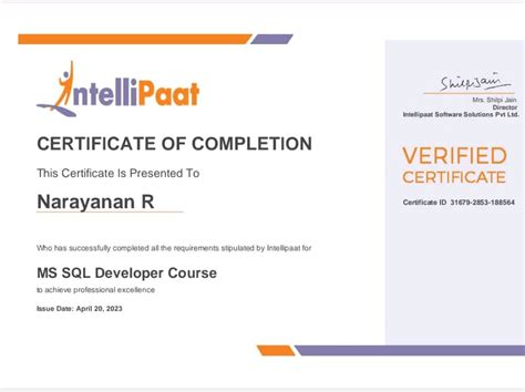 narayanan r on linkedin sql course completion certificate part of ai