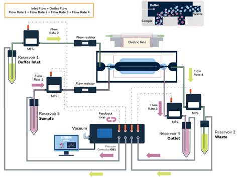 Dielectrophoretic Sorting Elveflow