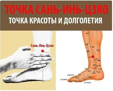 САНЬ-ИНЬ-ЦЗЯО - ТОЧКА КРАСОТЫ И ДОЛГОЛЕТИЯ. Хочешь похудеть — нажми на ...