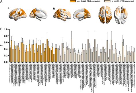 Brain Areas In Which Marital Satisfaction Was Correlated With Iss Download Scientific Diagram